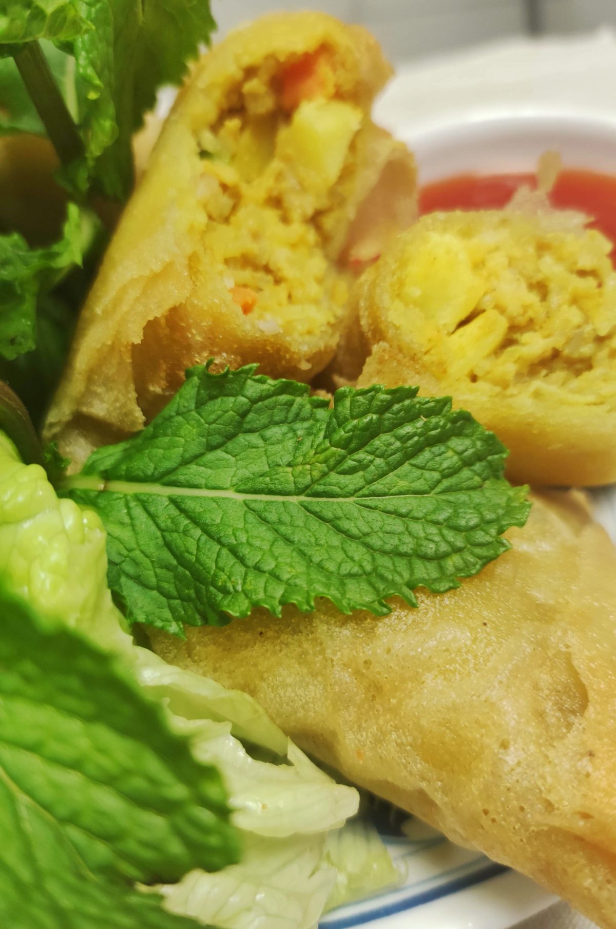 Samoussa au Poulet – Asian Saveurs